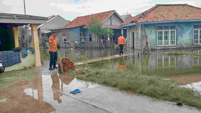 Tergenang Banjir Rob, Tiga Kecamatan di Kabupaten Bekasi Berubah Jadi Rawa, Ini Penampakannya ...