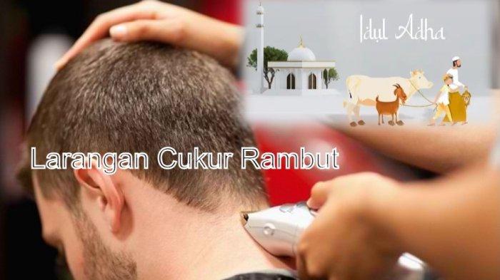 Larangan Potong Rambut dan Kuku Mulai 1 Zulhijjah untuk Siapa Saja ...