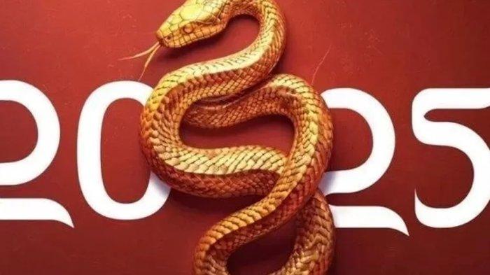 Mengenal Tahun Ular Kayu 2025 dan Industri yang Bakal Diuntungkan ...