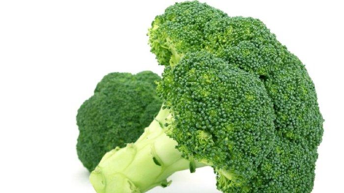 6 Hal Penyebab Kita Bersendawa dan Berikut Cara Menguranginya ...