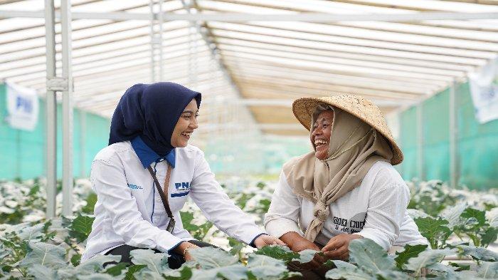 Pendapatan Nasabah PNM Mekaar Meningkat Berkat Sinergi Holding Ultra ...