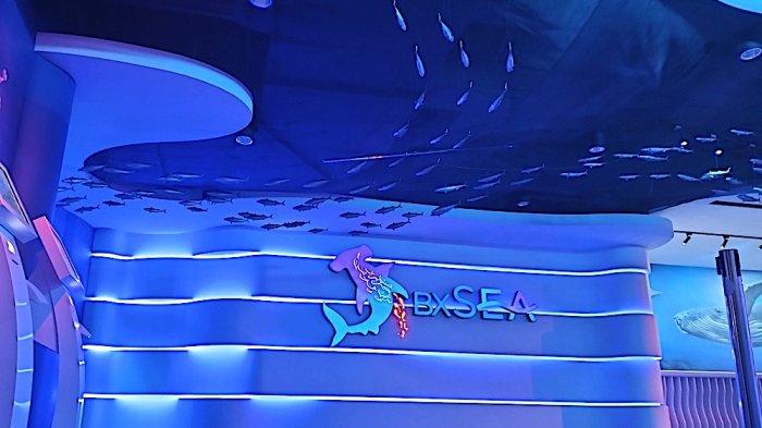 Hari ini Wisata Edukasi Buka BxSea Bintaro Dibuka, Ada Ribuan Biota ...