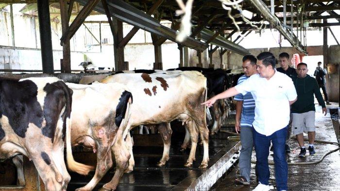 Tim 8 Prabowo Janji Bebaskan Praktik Tengkulak yang Cekik Petani ...