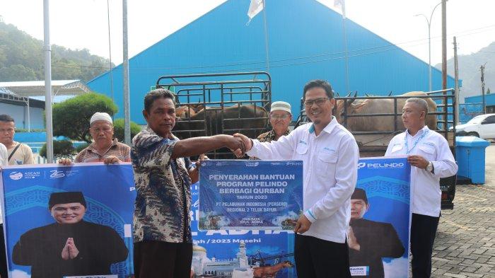 Hari Raya Idul Adha, PT Pelindo Persero Salurkan 543 Sapi dan 125 Kambing untuk Kurban ke ...