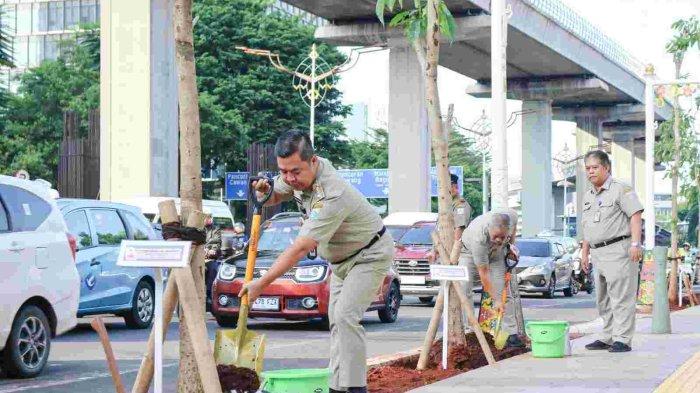 Perbaiki Kualitas Udara dan Perbanyak RTH, 136 Pohon Tabebuya Ditanam ...
