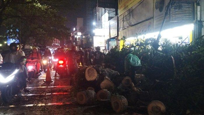 Pohon Besar di Jalan Margonda Depok Tumbang Saat Hujan, Macet Parah Selama 3 Jam - Wartakotalive.com