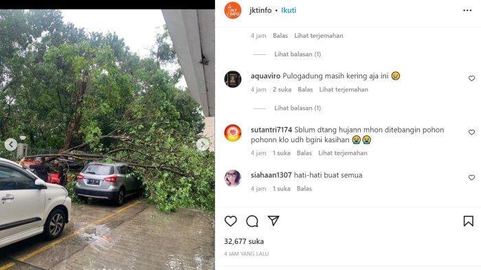 Viral, Banyak Pohon Tumbang di Jakarta Usai Diguyur Hujan Deras dan Angin Kencang Sabtu Siang ...