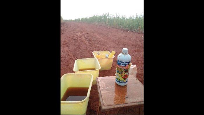 Pupuk Organik Turrima Asal Sragen Mampu Menyuburkan Lahan Pertanian di ...