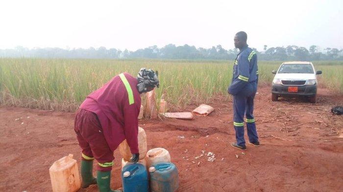 Pupuk Organik Turrima Asal Sragen Mampu Menyuburkan Lahan Pertanian di ...