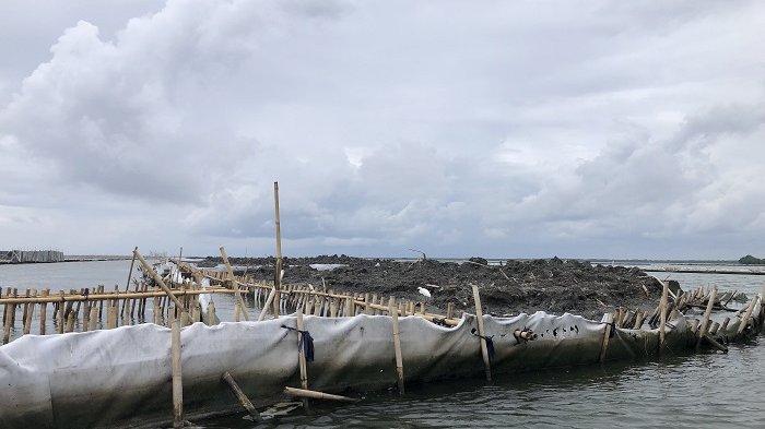 Nelayan Tak Ada yang Tahu Tujuan Proyek Pagar Bambu di Laut Bekasi ...