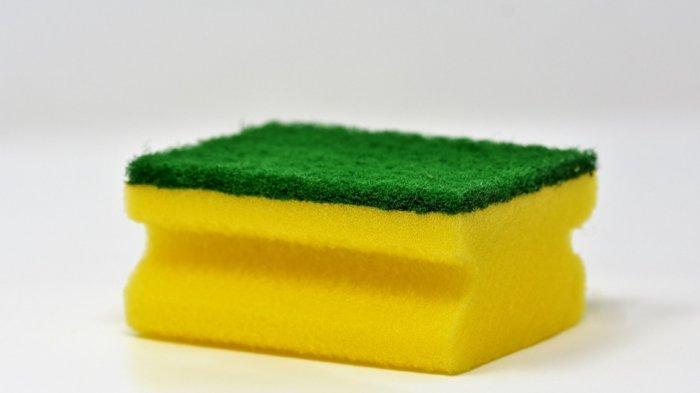 Salah Satu Sumber Banyak Kuman di Rumah, Begini Cara Menjaga Spons ...