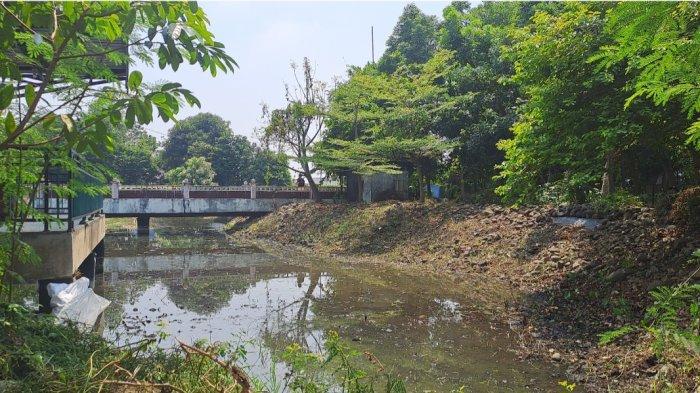 Awal Mulanya Hutan Kota Rawa Buaya di Jakarta Barat, Terbentuk Secara ...