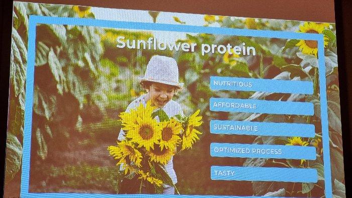 Tetra Pak Kenalkan Sunflower Protein, Konsep Bahan Minuman Protein Tinggi dari Biji Bunga ...