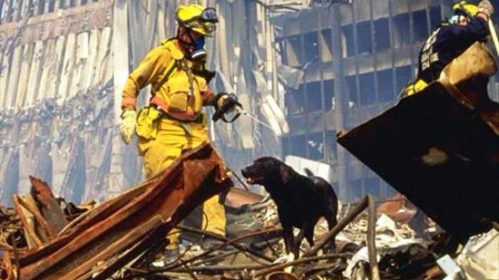 Mantan Penyidik Ungkap di Balik Serangan 911, tapi Penyidikan Diakui ...