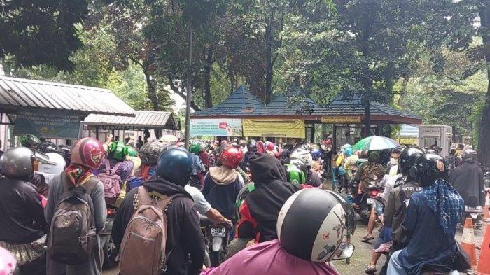 Wisata Jakarta: Taman Margasatwa Ragunan akan Kedatangan Dua Pasang ...