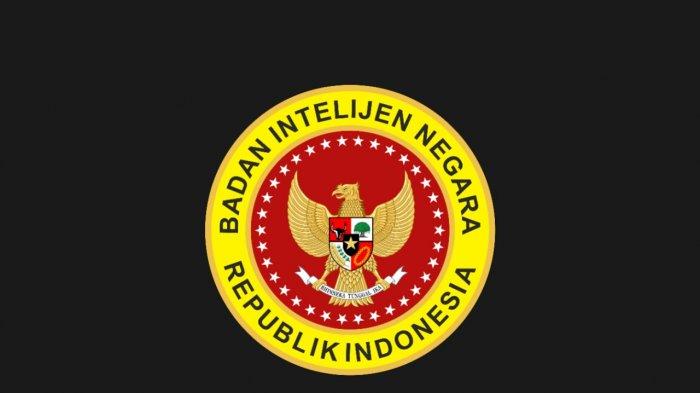 Syarat Pendaftaran CPNS 2021 di Badan Intelijen Negara, Usia Maksimal ...