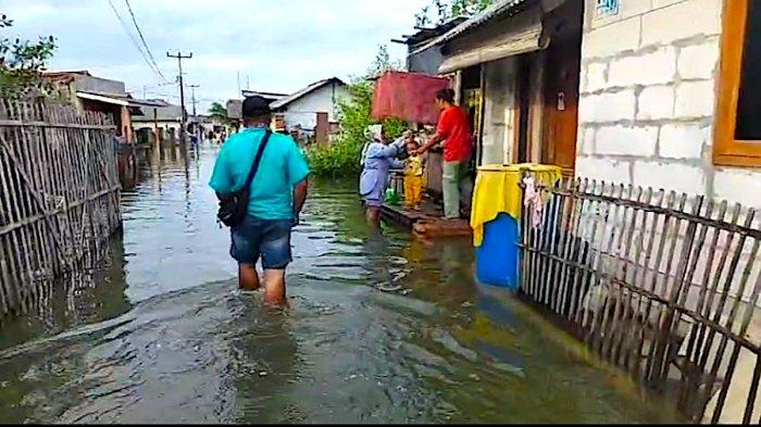 Banjir Rob Terjang Muaragembong Bekasi hingga 80 Cm, Lima Desa Terdampak - Wartakotalive.com
