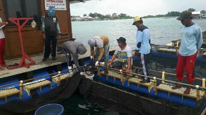 Restoran Apung Muara Angke Usung Konsep Modern Eat and Eat Seperti di ...