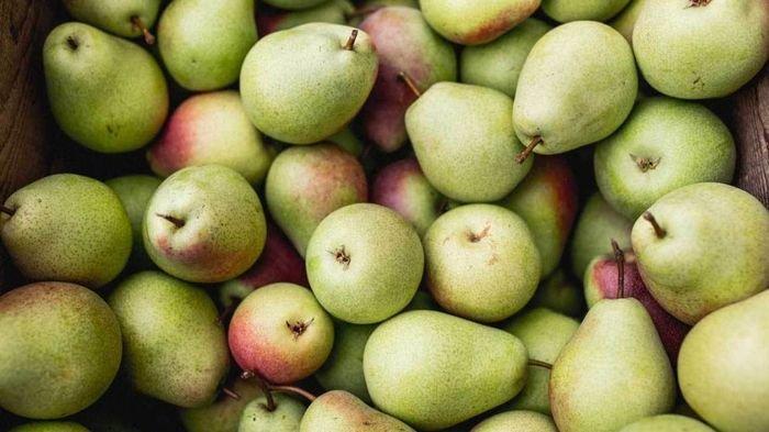 Manfaat Buah Pir untuk Kesehatan hingga Kaya Antioksidan ...
