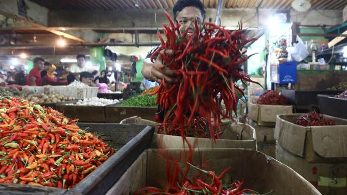 Heboh Harga Cabai Ratusan Ribu, Di Daerah Ini Harga Cabai Cuma Rp 3000 per Kg - Wartakotalive.com