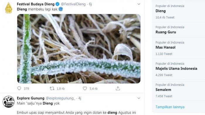 Trending Embun Es Muncul di Gunung Dieng, Ingatkan Dieng Culture ...