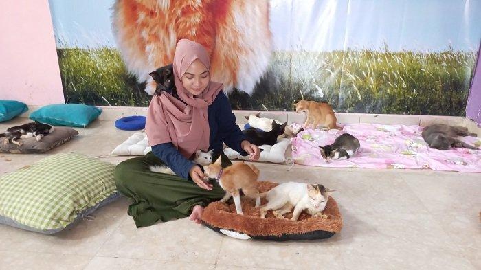 Sosok Eneng: Tekun Merawat 65 Anak Kucing dan Anjing Cacat di Rumah ...