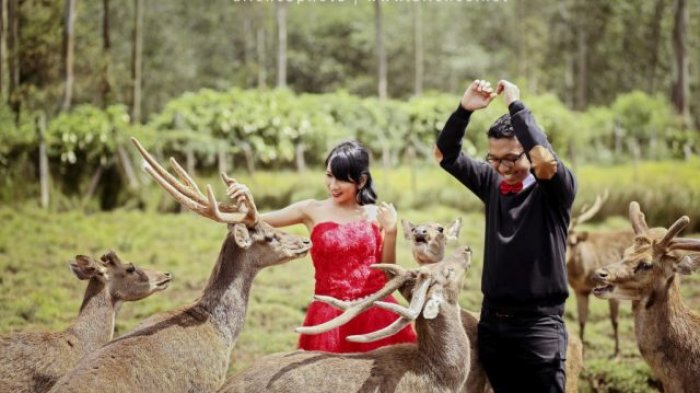 Ini Tiga Tempat Foto Prewedding Paling Hits di Bandung - Wartakotalive.com
