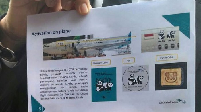 Eh, Ada Panda di Pesawat Garuda Indonesia - Wartakotalive.com
