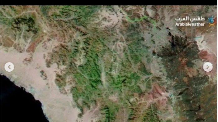 Tangkapan Satelit Terra Gurun Pasir Arab Saudi Berubah Menjadi Hijau ...