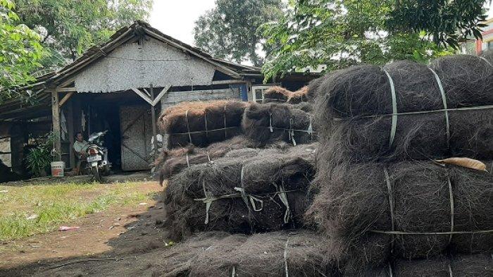 Ibrohim dulu Berjaya Jual Ijuk, kini Meredup Asal Bisa Menutup Biaya ...