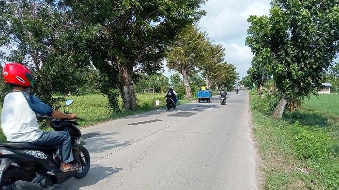 Jelang Mudik Lebaran, Pemkab Karawang Tambal Jalan Rusak untuk Sepeda ...