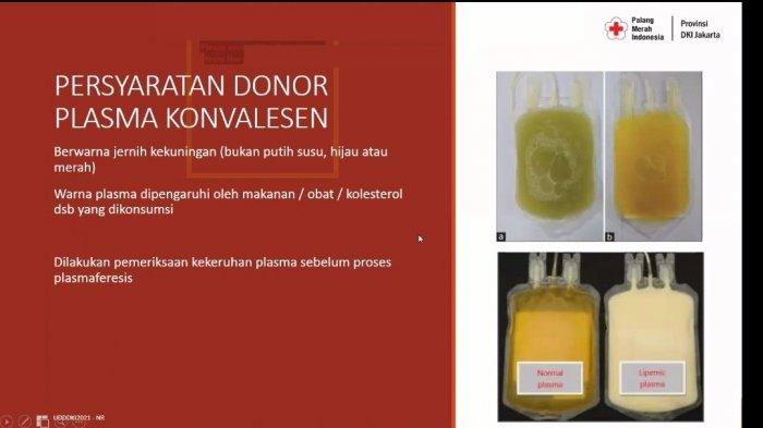 Jadi Lokasi Favorit Donor, PMI DKI Hingga Kirim Plasma Konvalesen ke ...