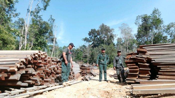 Isess Minta Mabes Polri Usut Dugaan Penadahan Illegal Logging Di Pulau