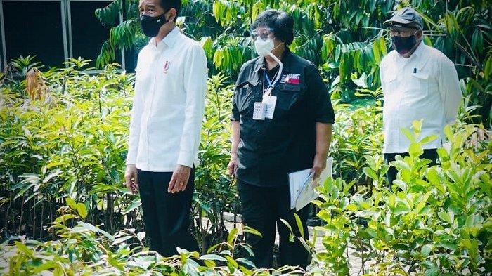 Rumpin Dijadikan Lokasi Pembibitan Pohon dan Tanaman Produktif ...