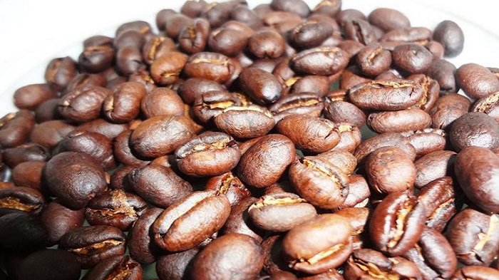 Macam-macam Jenis Tanaman Kopi di Indonesia - Wartakotalive.com