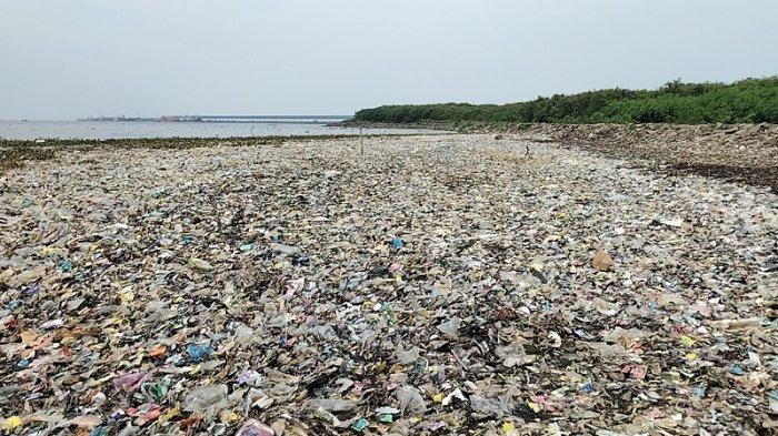 Miris, Kawasan Pesisir Marunda Jakarta Utara Dikepung Lautan Sampah ...