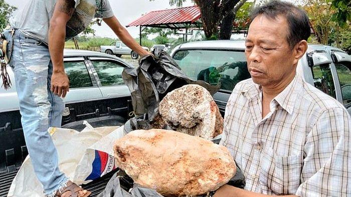 Nelayan Thailand Kaget Temukan Muntahan Paus Terbesar di Dunia ...