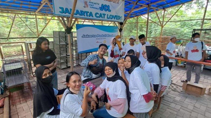 Guyub bersama Komunitas Cat Lovers Jakarta, OMG DKI Salurkan Pakan ...