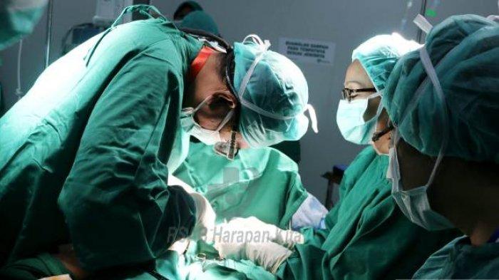 UPDATE Dua Hari Pascaoperasi Pemisahan, Begini Kondisi Terkini Bayi Kembar Siam Ardi dan Ardan ...