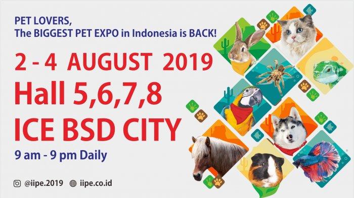 Jangan Lewatkan Pameran Hewan Peliharaan Terbesar di ICE BSD, Tiket ...