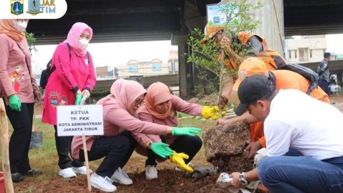 Dukung Program Pemprov, Pemkot Jaktim Tanam 100 Pohon di Jalan DI ...