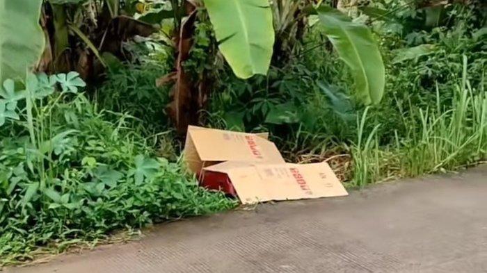 Mayat Mutilasi Dalam Koper di Bogor, Tanpa Kaki dan Kepala, Ini Jenis ...