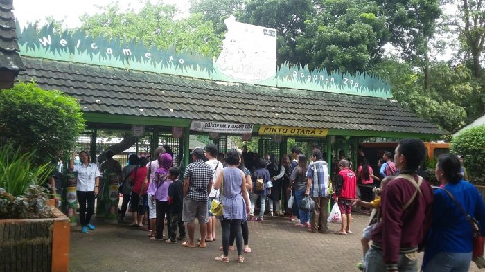Mulai Selasa Ratusan Ribu Orang Dipredikasi Padati TM Ragunan Hingga ...