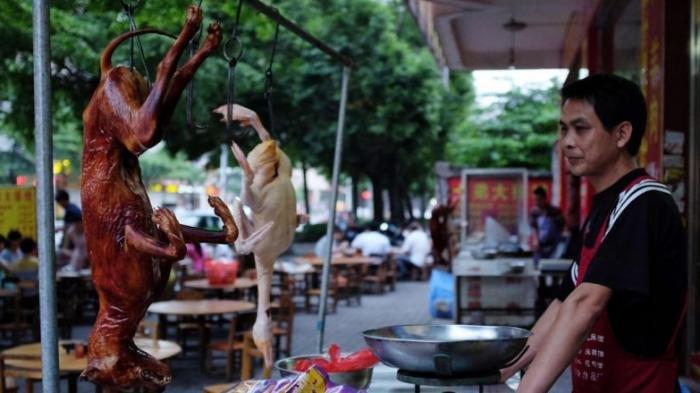 Gojek dan Grab Masih Jual Daging Anjing Lewat Go Food-Grab Food Diancam ...