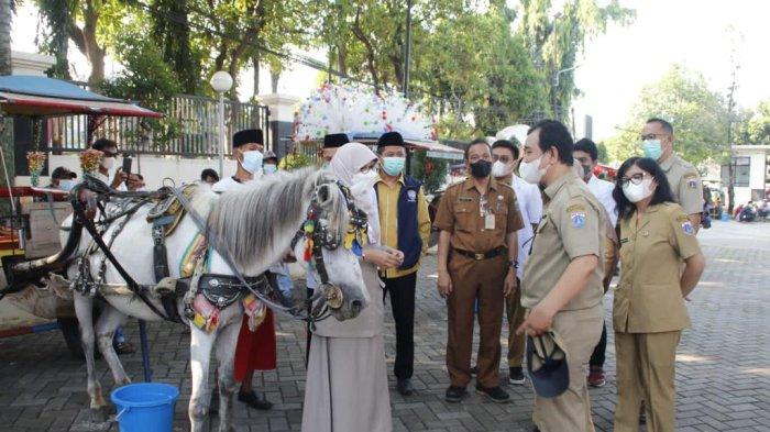 Ratusan Kusir Delman di DKI Jakarta Dapat Bantuan Sosial ...