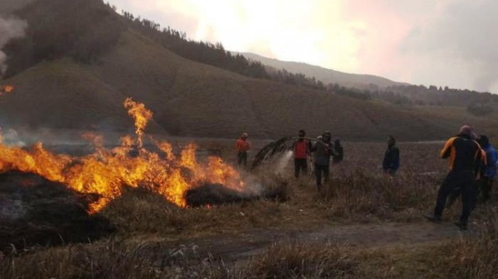 Gunung Bromo Kembali Kebakaran, BBTN Bromo Ungkap Kondisi Terkini ...