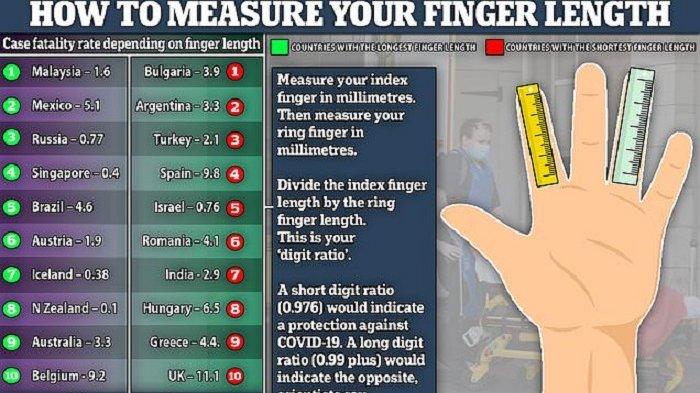 PENELITIAN Terbaru di 41 Negara, Panjang Jari Manis Berhubungan Tingkat ...