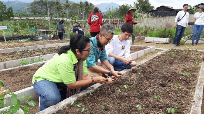 Program Petani Muda Hasil Kolaborasi Bango dan The Learning Farm untuk ...