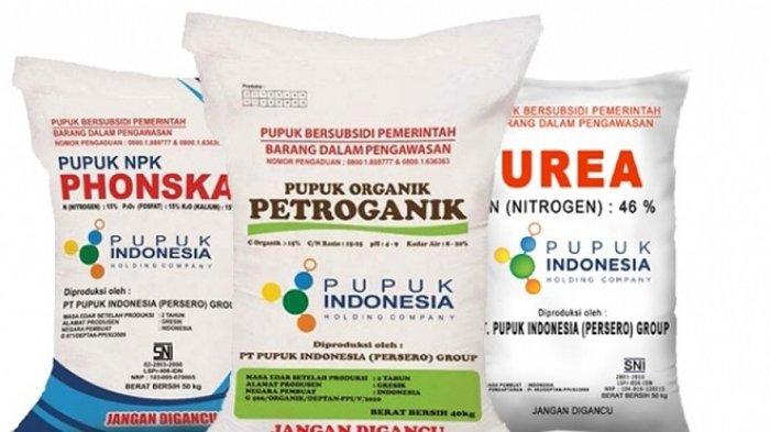 Kolaborasi Jepang, PT Pupuk Indonesia Akan Bangun Hybrid Green Ammonia ...