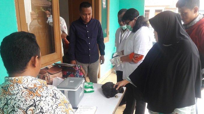 Kenali Tanda-tanda Hewan Terjangkit Rabies dan Begini Cara ...